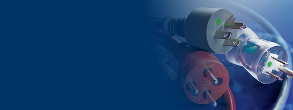 International Power Cords - Cord Sets - Interpower